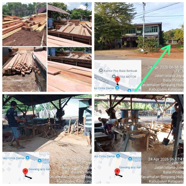 Aktivitas Kayu Diduga Tanpa Izin di Ketapang, Warga Desak